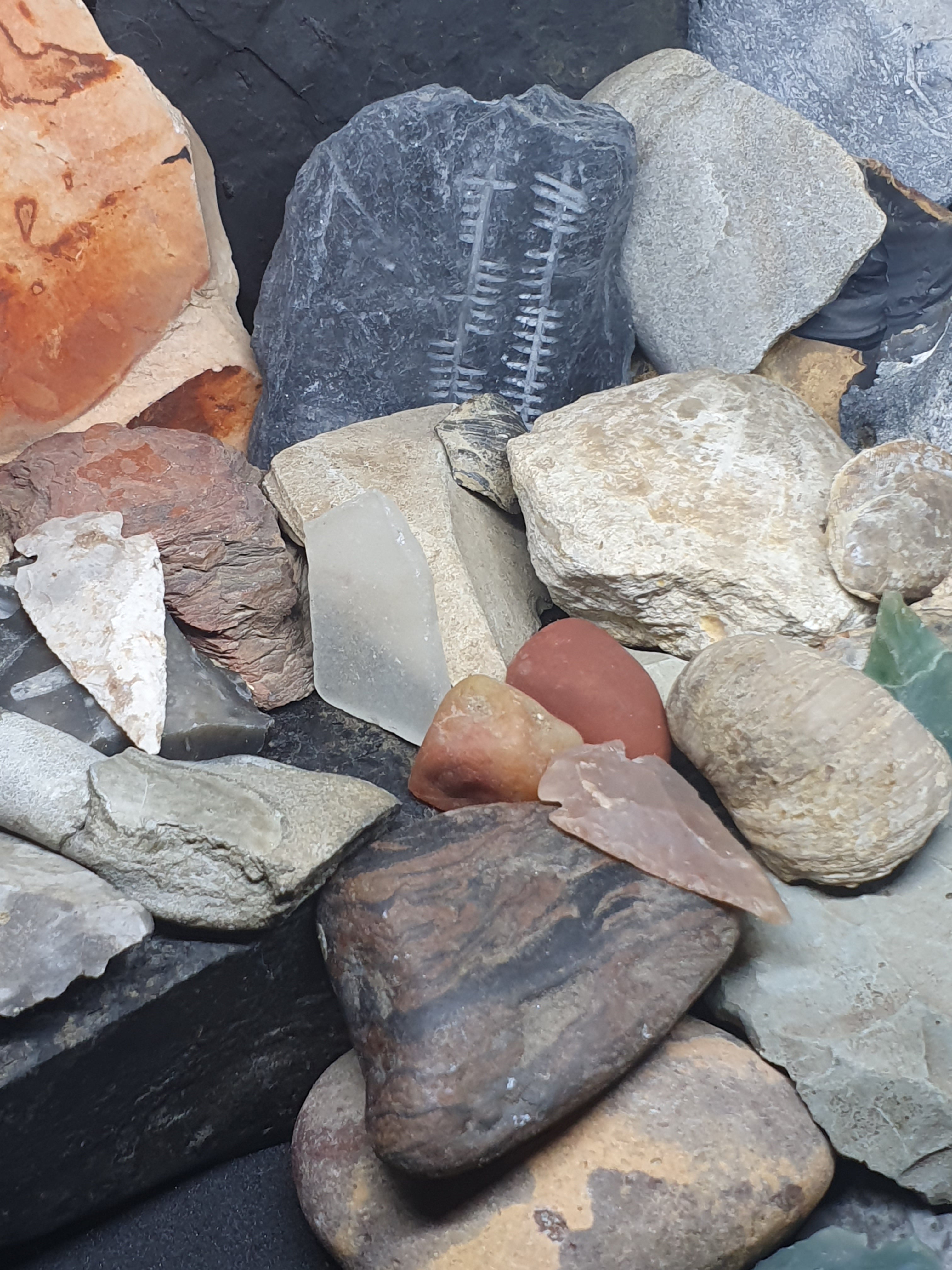 Perfume Oils – Crow & Pebble