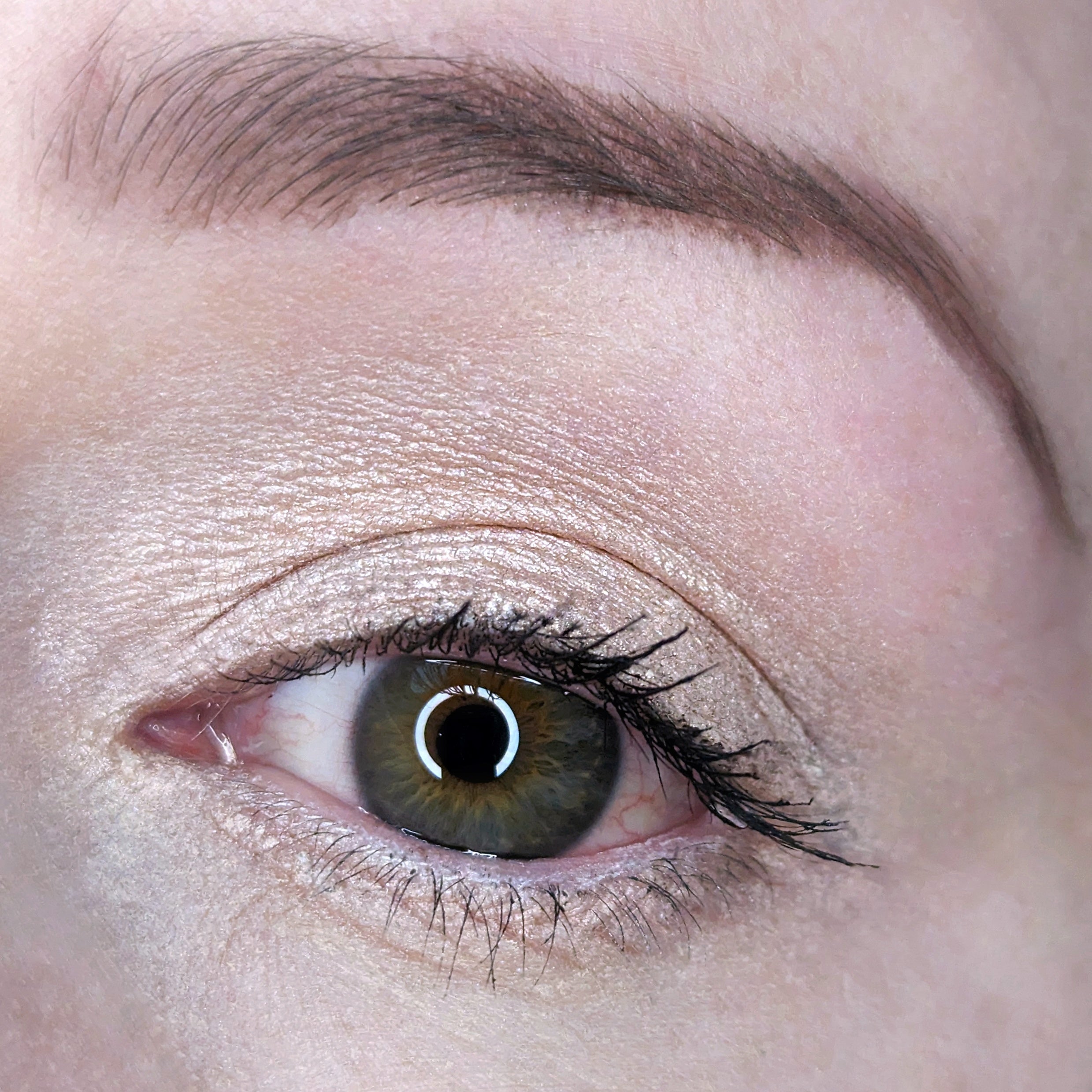 Trusty Steed – Crow & Pebble