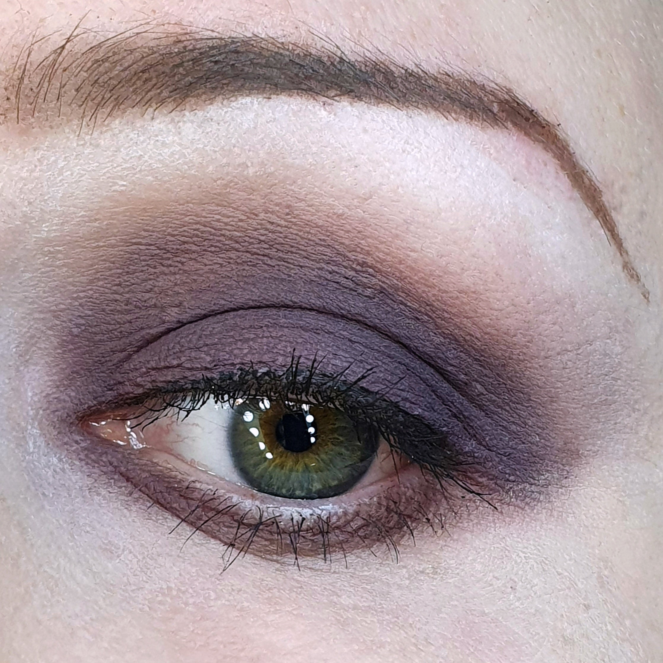 Webs of History – Crow & Pebble