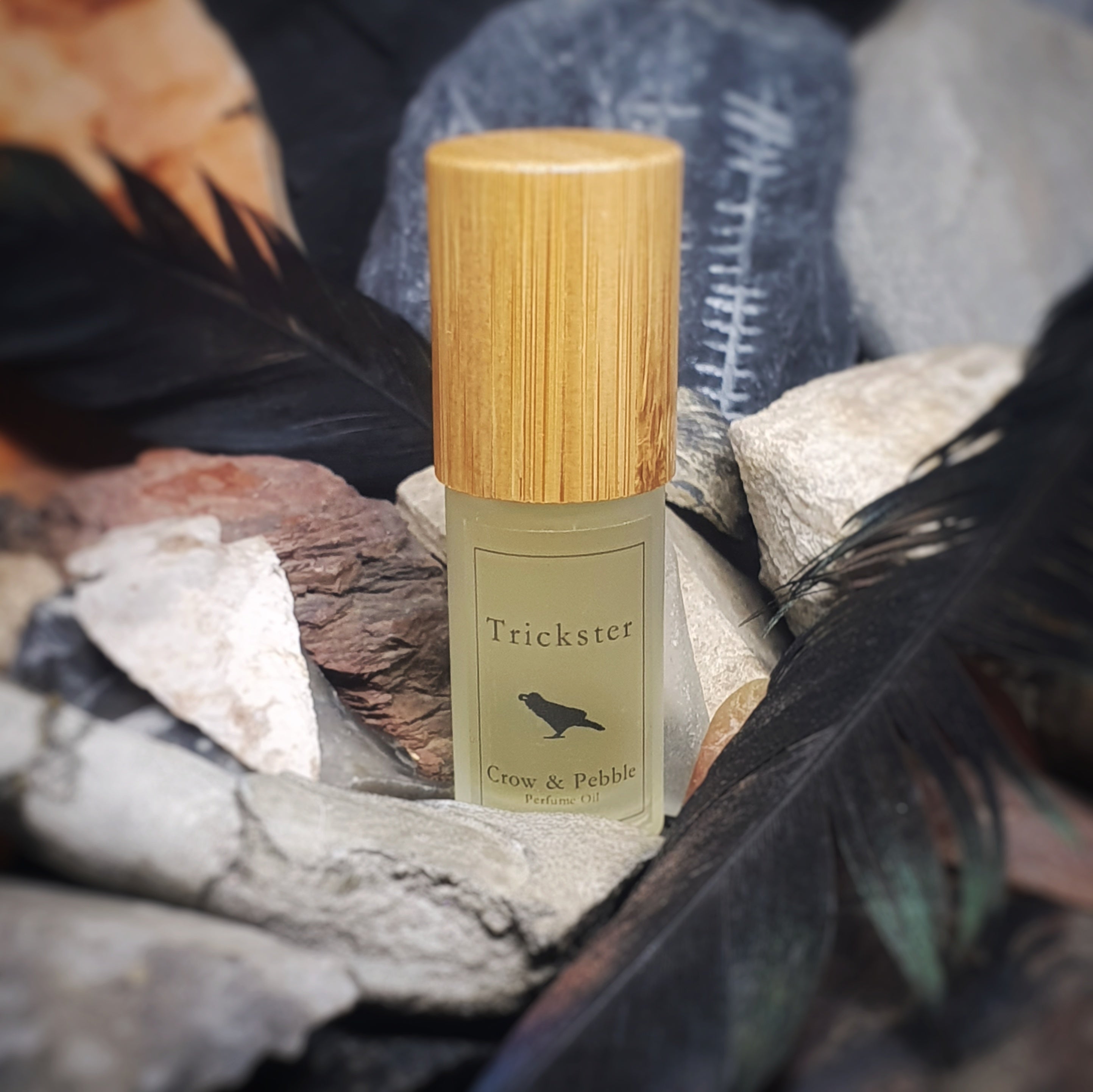 Trickster – Crow & Pebble