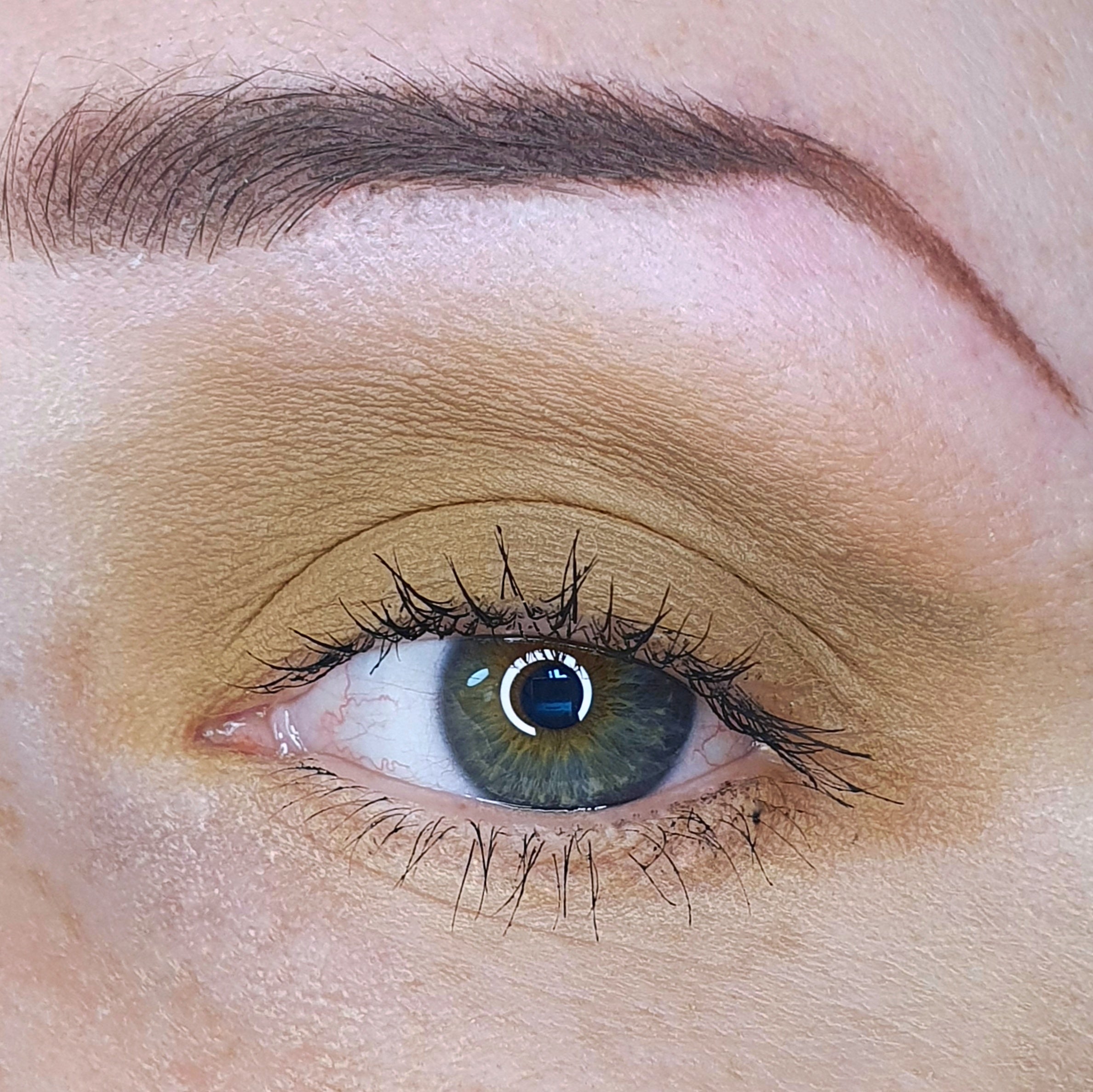 Gryphon – Crow & Pebble