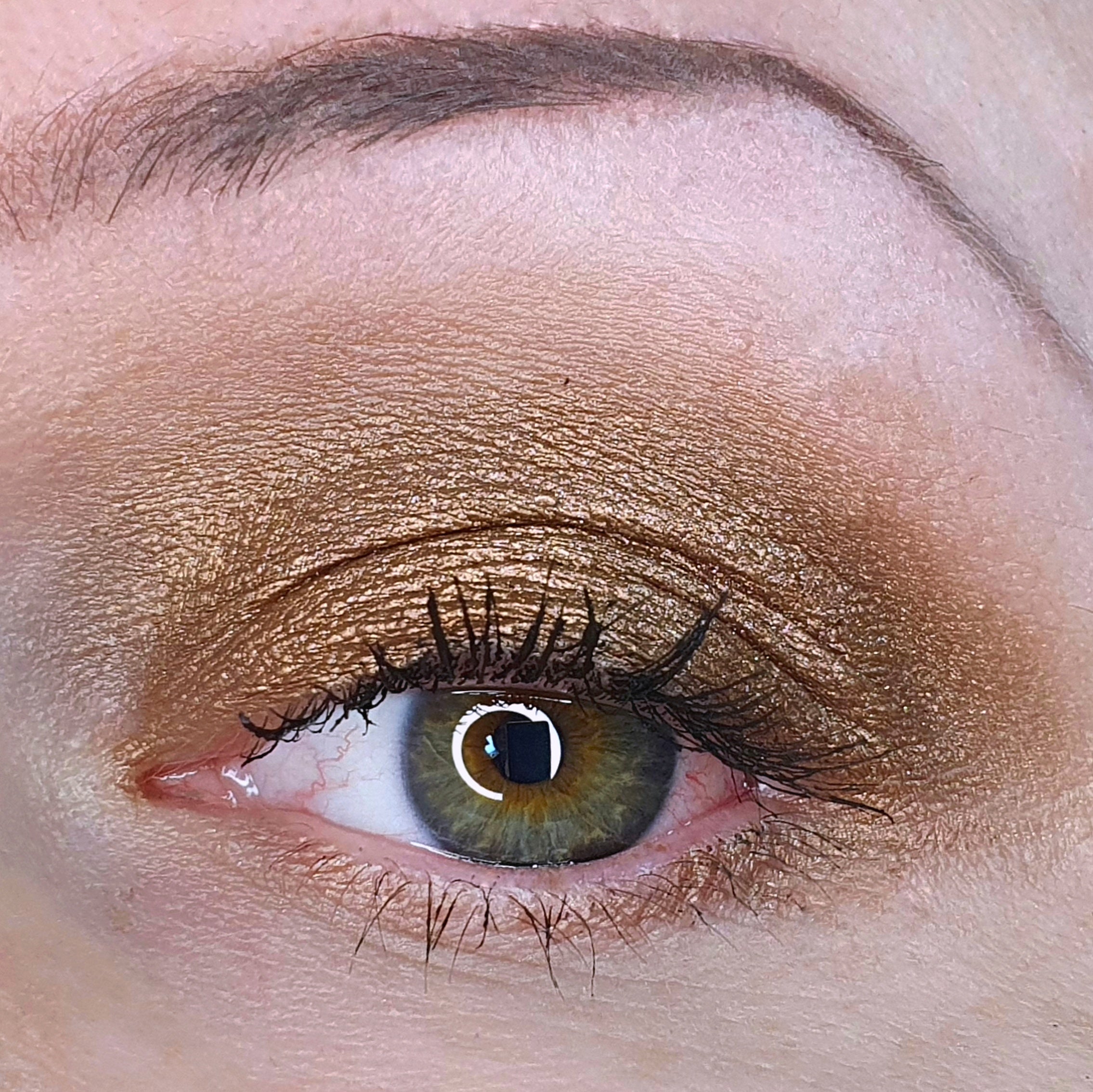 Treacle Well – Crow & Pebble