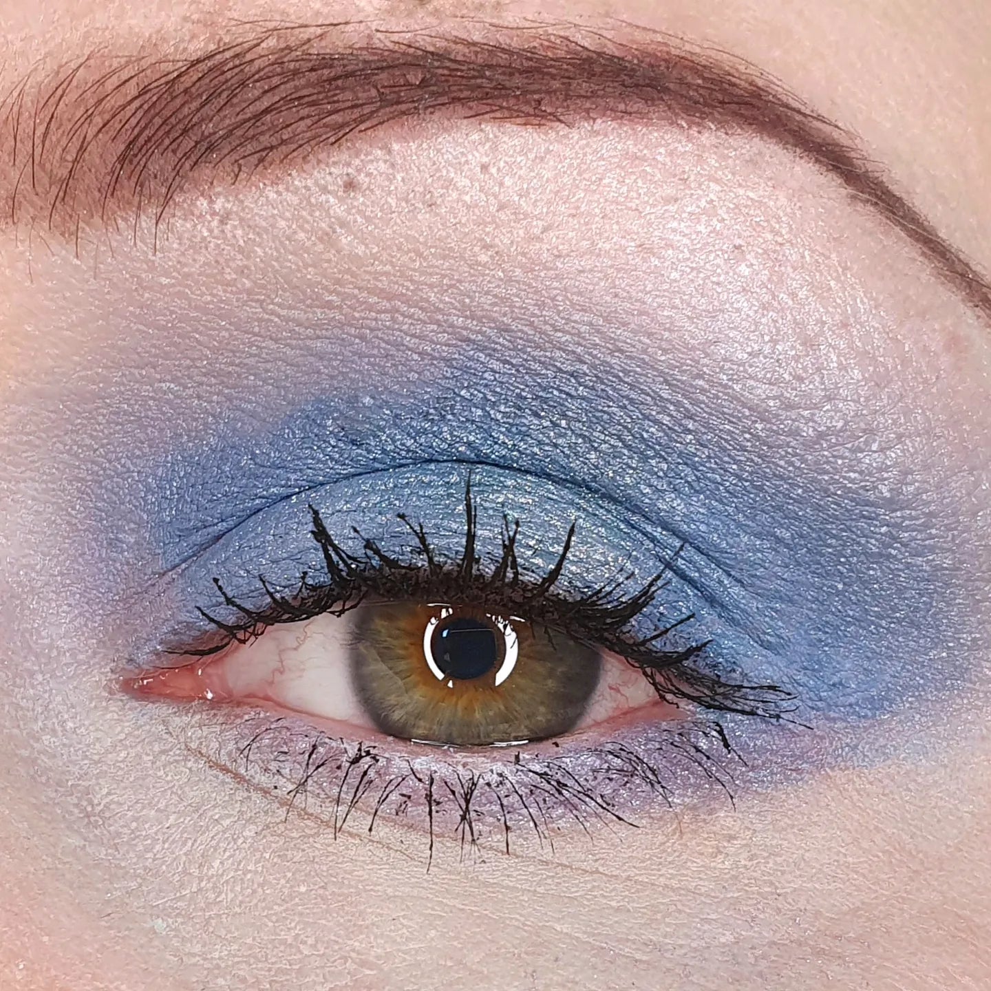 Where Trees Grow In Water – Crow & Pebble